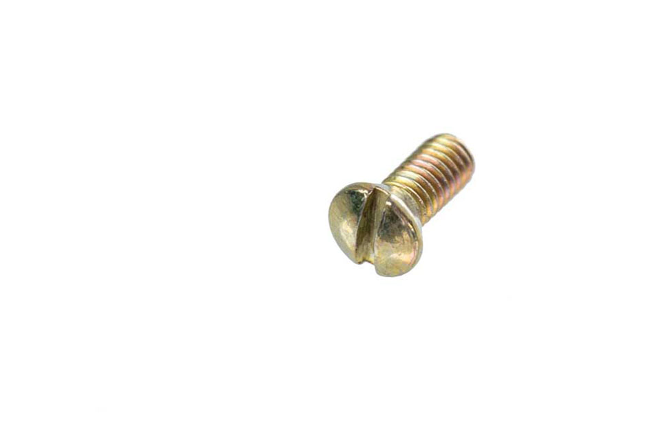 Throttle Shaft Screw