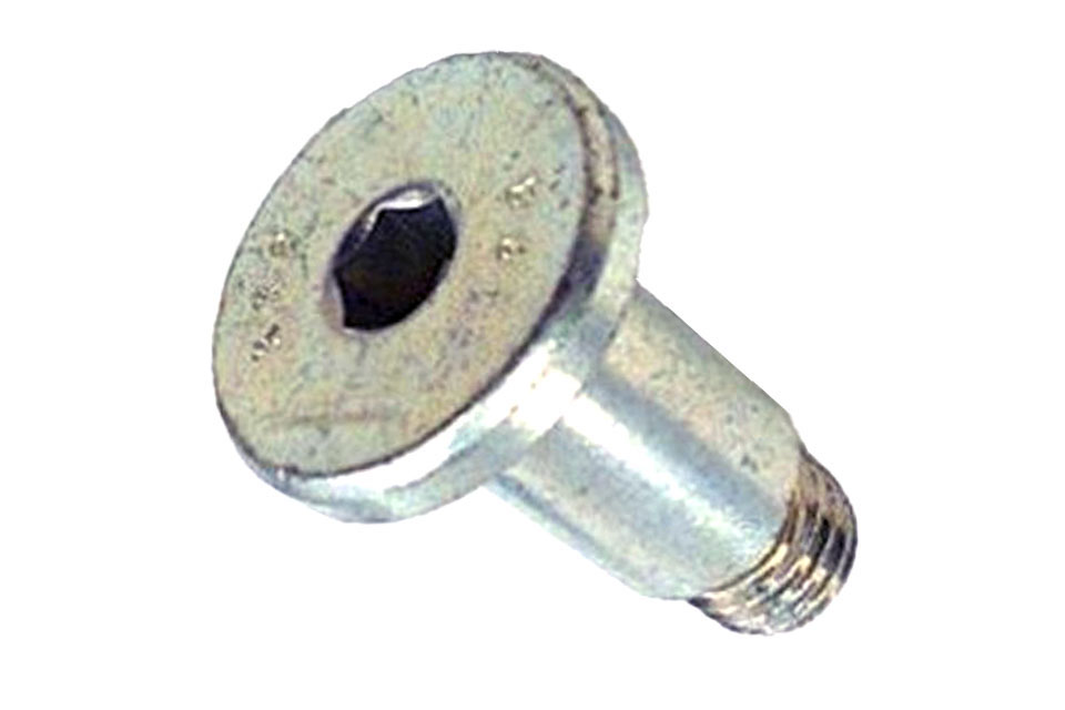 Shifter Pivot Bolt